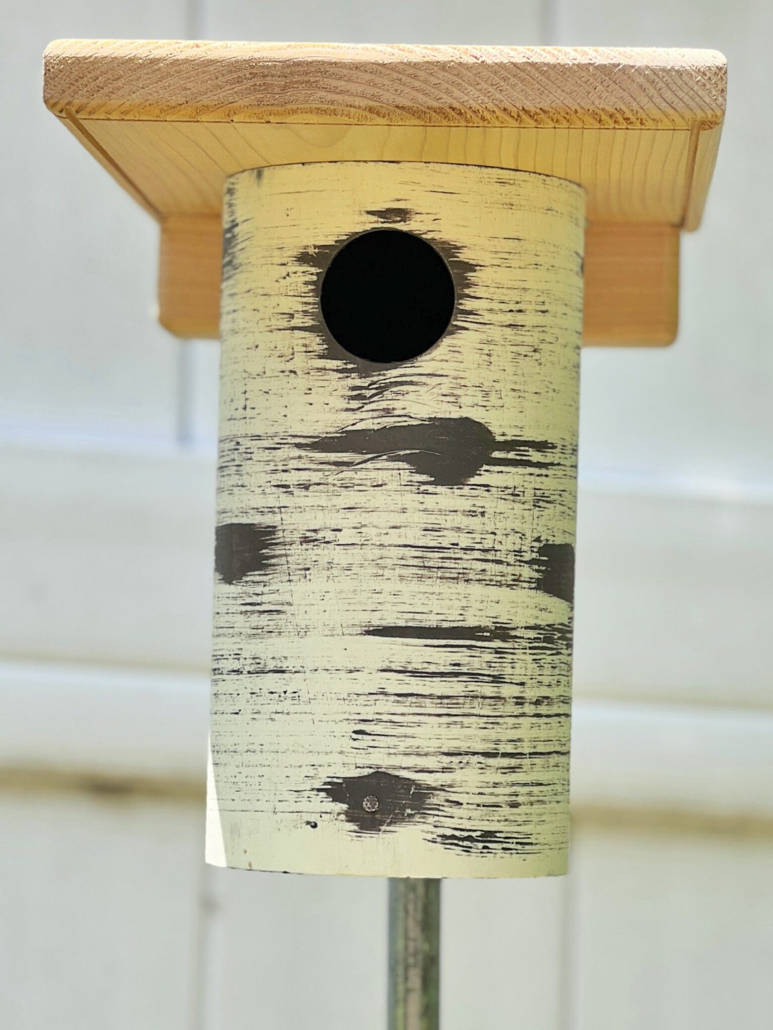 Gilbertson Nestbox - The Story of - Sialis.org: Info on Bluebirds ...